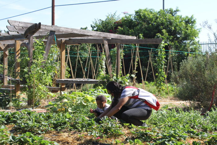 State Advances Projects to Build Climate-Resilient Communities ...